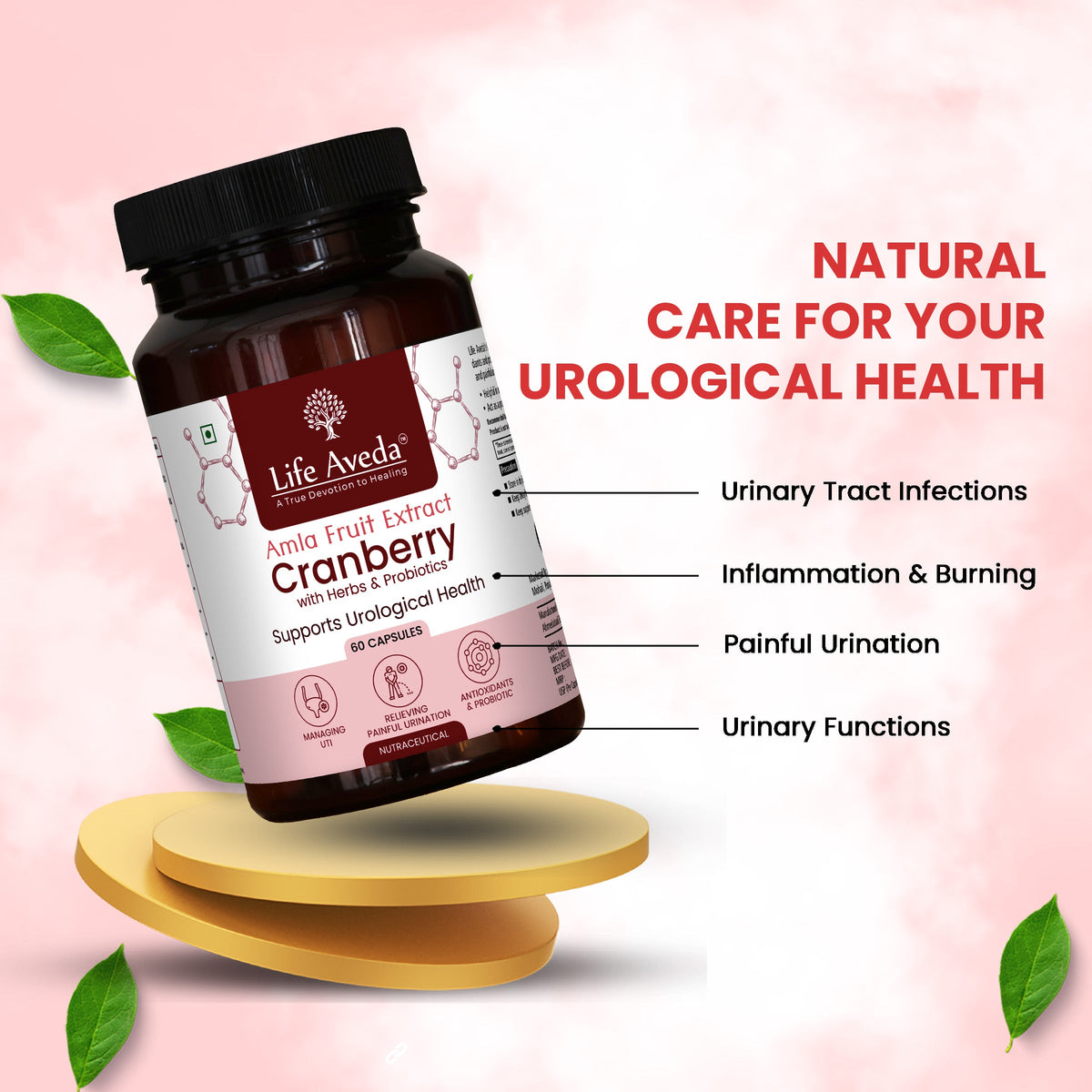 Cranberry & Amla Fruit Extracts Capsule
